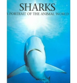 Sharks: A Portrait of the Animal World | metabook.gr